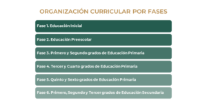 Grados escolares serán cambiados por seis "fases de aprendizaje ...
